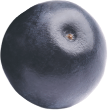 Cherry Acai, Superfood Smoothie + Prebiotic Fiber